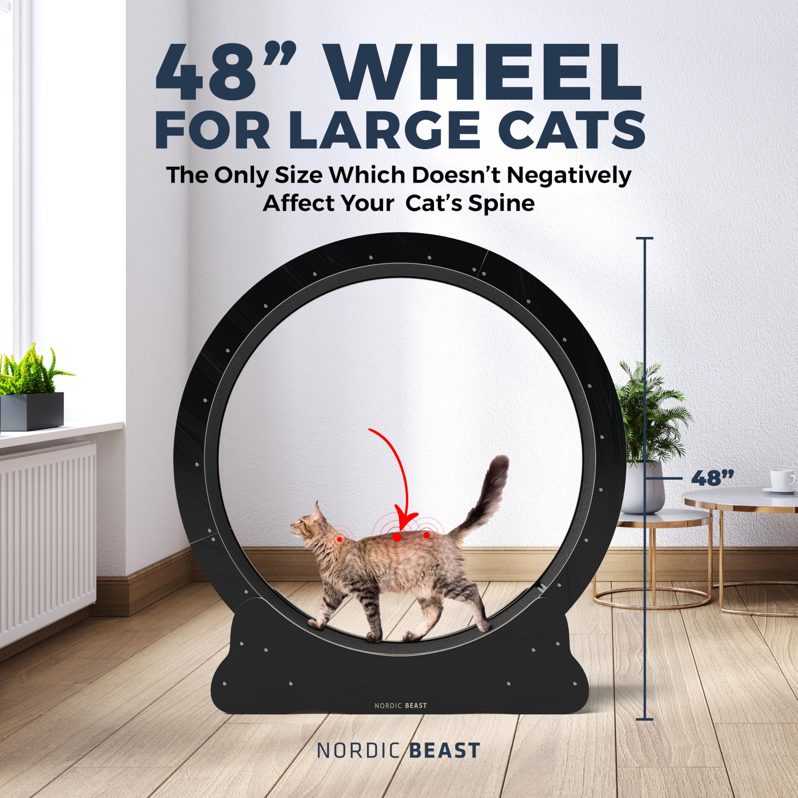 48'' Large Cat Wheel β Size Which Doesn't Negatively Affect Cat's Spine β Nordic Beast, Cat Exercise Wheel Indoor, Cat Wheels for Indoor Cats, Cat Treadmill, Cat Running Wheel, Cat Wheel Exerciser