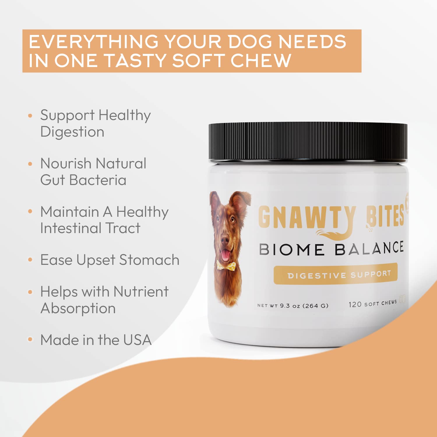 Gnawty Bites Biome Balance | Dog Probiotics for Healthy Gut Flora for Upset Stomach, Diarrhea, & Bowel Support with Digestive Enzyme & Lactobacillus (5-Strain Probiotic Blend), 120 Soft Chews