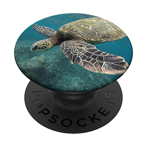 Pop out Cell Phones holder underwater Ocean Sea Turtles PopSockets Swappable PopGrip