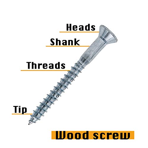 T.K.Excellent Wood Screw Phillips Flat Head #4#6#8#10#12 Screws Assortment Kit,1050 Pcs