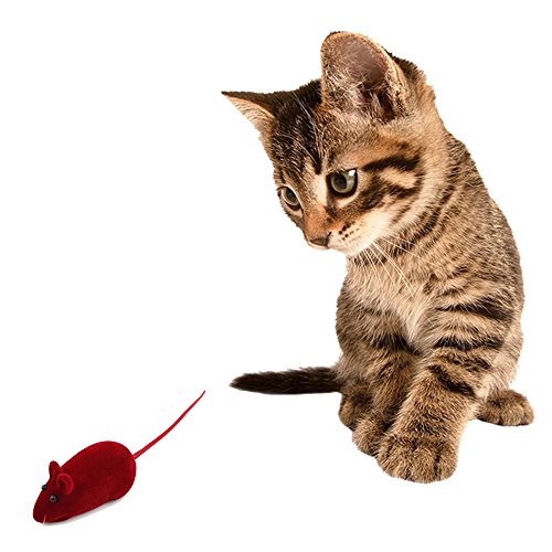 Dog Cat Playing Toy Squeak Noise Toy Lovely Rat Toy Mice False Mouse Bauble 4PCS Multi-colors