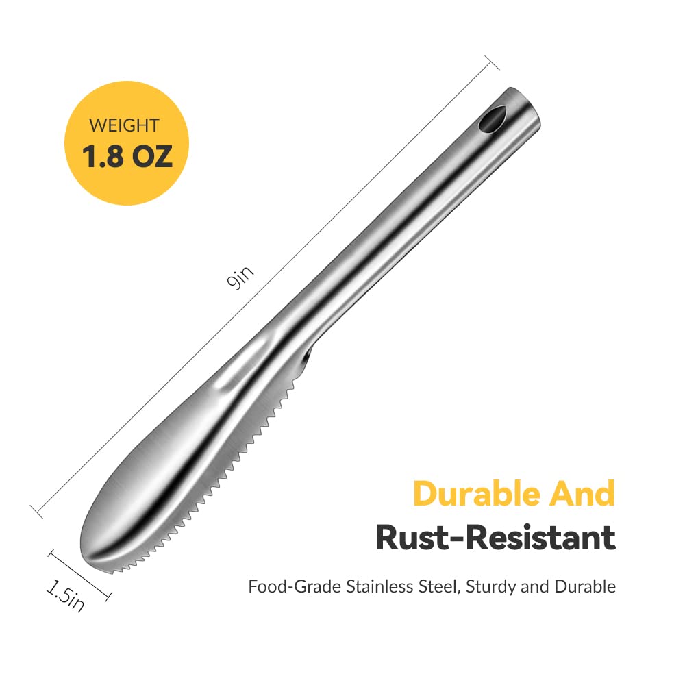 ADORAMBLING 2 Pieces Fish Scaler Tool Stainless Steel Fish Scaler Remover No Mess - Portable Fish Scale Remover Fish Descaler Tool - Durable Fish Scraper Fish Cleaner Tool for Fish Scaling Cleaning
