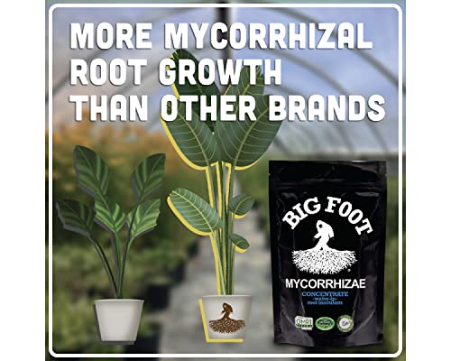 Big Foot Water-in Brew - Soil Drench and Organic Fertilizer | Mycorrhizae + Worm Castings + Kelp + Azomite,+ Biochar + Humic Acid - (4 oz)