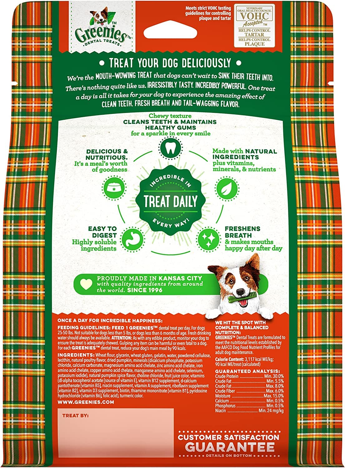 Aurora Pet Bundle (2) Pumpkin Spice Flavor Regular Size Dog Dental Treats (12-oz Bags) with AuroraPet Wipes