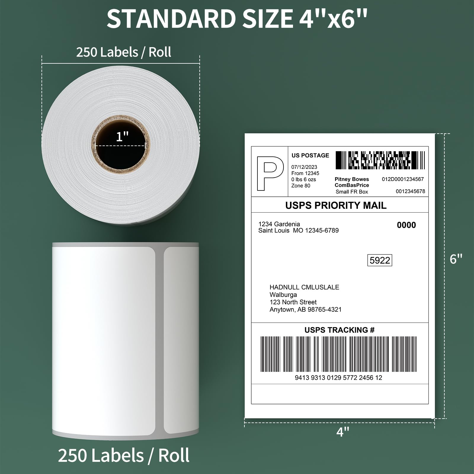4x6 Direct Thermal Labels 20 Rolls, BESTIKER Thermal Shipping Label Roll of 250 Labels Compatible Zebra 2844 Rollo Thermal Printer 4x6 Label with Perforated Line (1β Core) - Total 5000 Labels