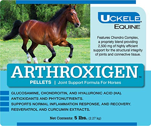 Uckele Arthroxigen Pellets - Joint Supplement Formula for Horses - Eqiune Vitamin & Mineral Supplement - Competition Ready - 5 Pound (lb)