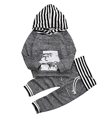 Toddler Infant Baby Boy Girls Clothes Hoodie Fall Winter Sweatsuit Pants Gender Neutral Long Sleeve Outfit Set(2-3 Years, Dinosaur)
