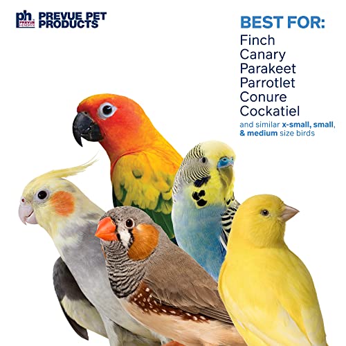 Prevue Pet Products Forage & Engage Dessert Delights Bird Toy 62678