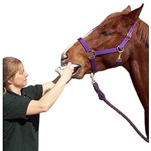 Duramectin Ivermectin Paste 1.87% Horse Wormer (2 Tubes)