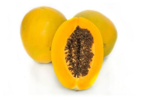 50+ Very Fresh Rare! Dwarf Waimanalo Papaya! tropical fruit tree seeds plant