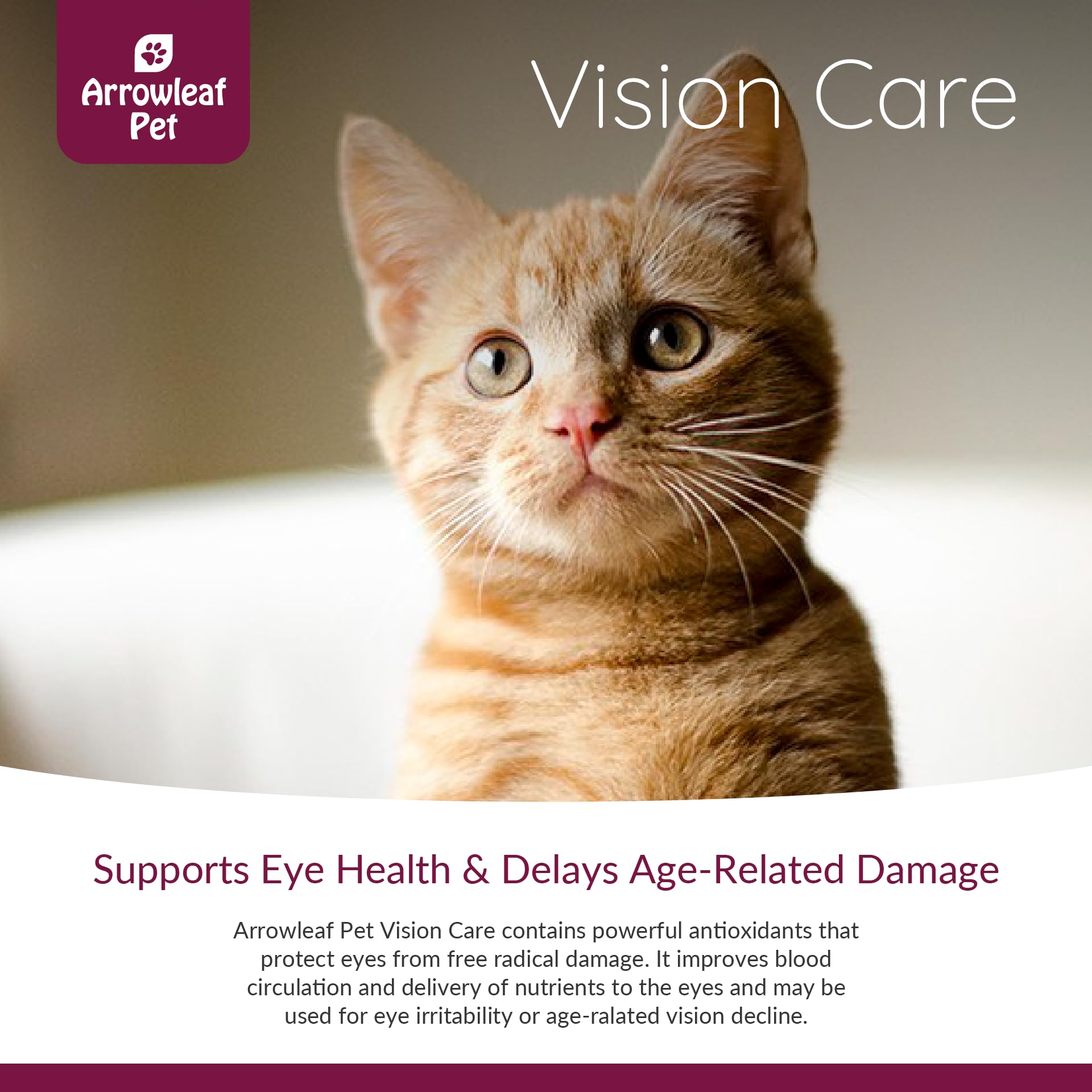 Arrowleaf Pet Vision Care by NaturPet Inc for Cats and Dogs | with Bilberry | Eye Support | 100mL Herbal Tincture
