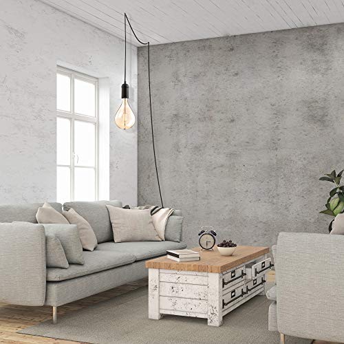 Edison 1-Light Plug-in Pendant, Matte Black, Black Woven Fabric Cord, in-Line On/Off Switch,65114