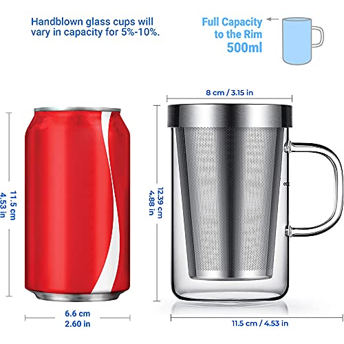 Ecooe 16.9 Oz Borosilicate Glass Tea Mug Cup Tea Glasses with Stainless Steel Infuser & Lid, Loose Leaf Glass Tea Cup Teacup 500mL