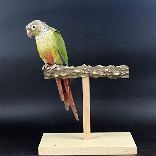 QBLEEV Bird Tabletop Training Stand Perch,Portable Parrot Tee Play Stands, Natural Wood Bird Cage Toys Gym Playground for Small Medium Parakeets Cocktails Conures Lovebirds Finch (Large)