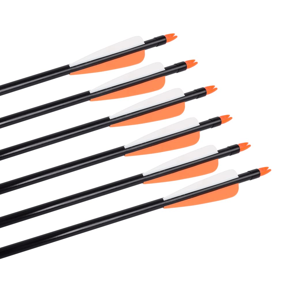 8075 Fiberglass Arrows Archery Hunting Target Practice Arrows 30 Inch with Removable Tips for Compound & Recurve Bow 6PCS/Pack (One White Two Orange Vanes)