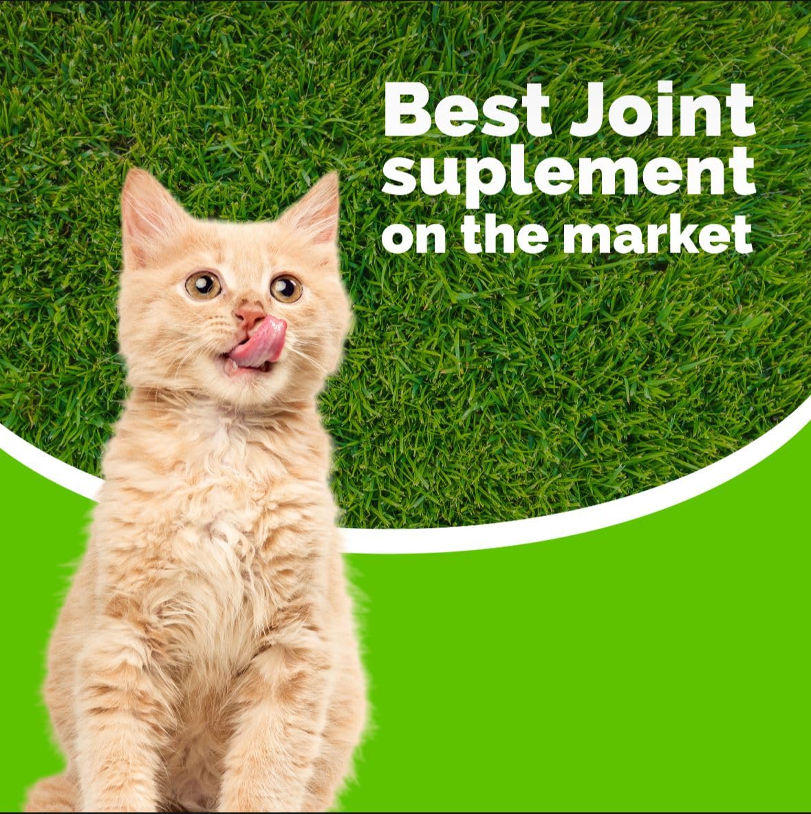 Artricat Dietary Supplement by Interfarma Corp | Cartilage Protection, Reduce Inflammation, & Joint Support for Cats | with Glucosamine, Collagen, & Hyaluronic Acid | Pineapple Flavor, Drops (2)