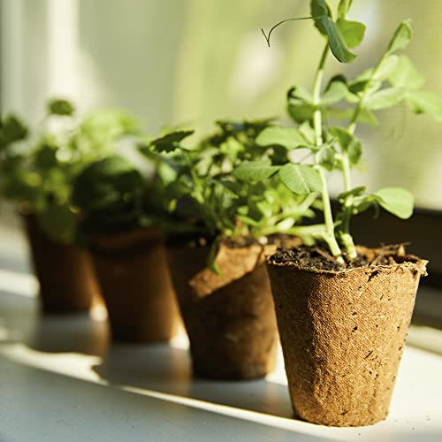 Back to the Roots Organic & Plantable Seed Starting Pots (24 CT)
