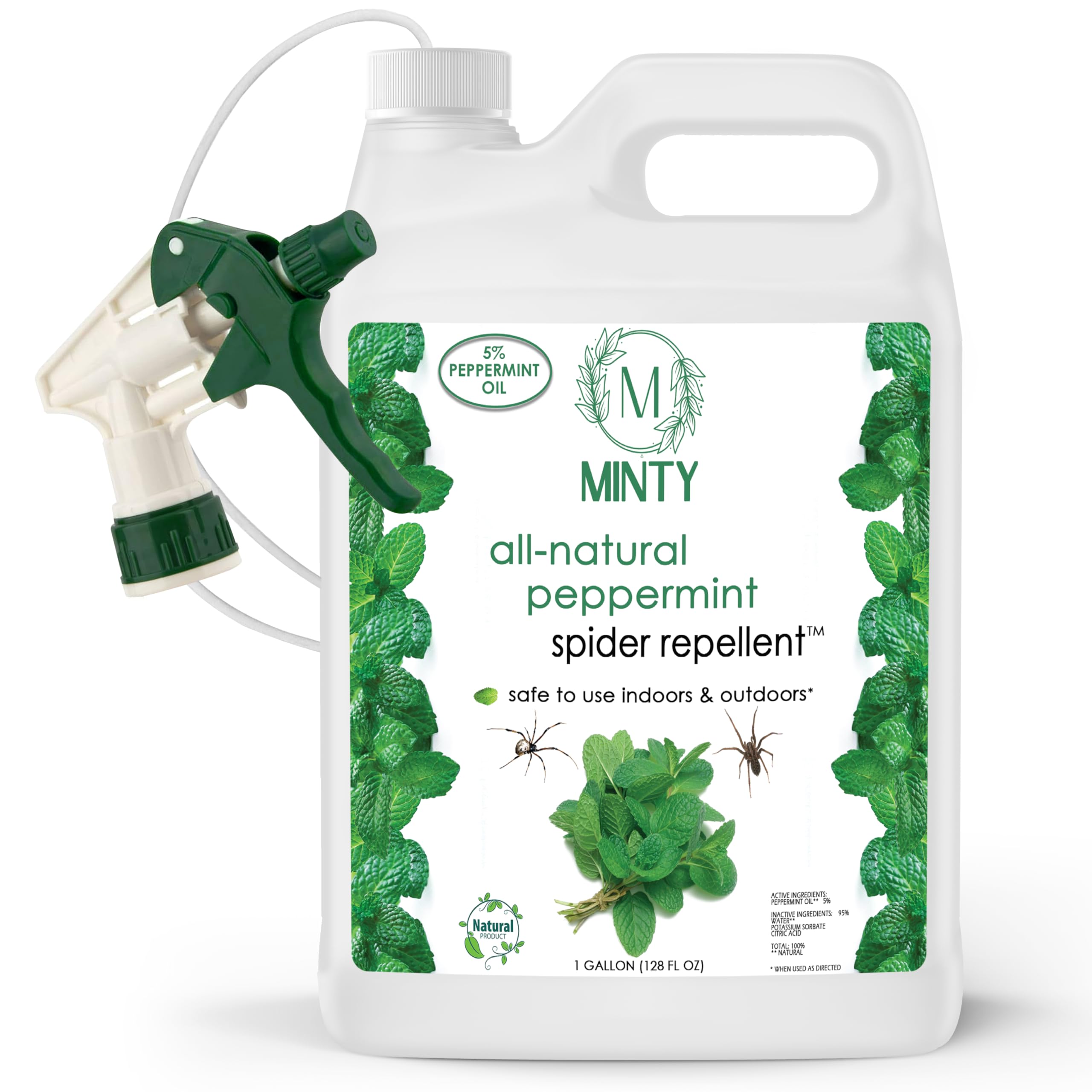 Minty Spider Repellent, Natural 5% Peppermint Oil Spray, Kills & Deters All Types of Spiders and Insects, Indoor and Outdoor Use, 128 fl oz Gallon