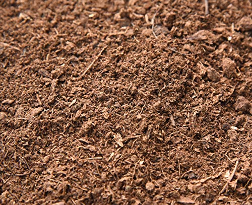 Organic Sphagnum Peat Moss by Perfect Plants - Absorbs Essential Nutrients When Added to Soil and Enriches Plant Roots - Indoor and Outdoor Use (8qts.)