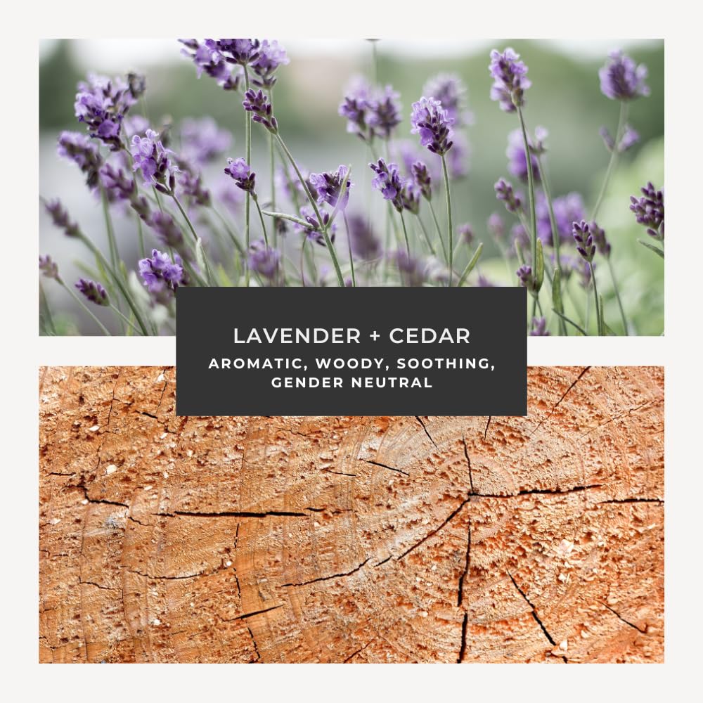 Lavender Cedar Jasmine Perfume Oil for Women | Rollerball (Roll on) Fragrance | Herb and Root 10ml