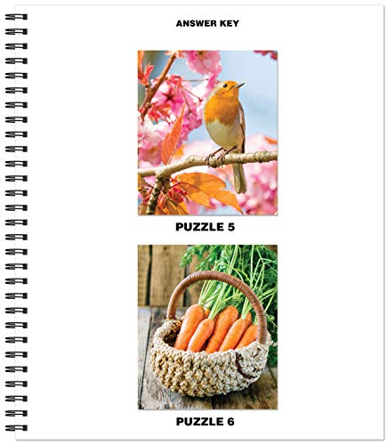 Brain Games - Sticker by Number: In the Garden (Easy - Square Stickers): Create Beautiful Art With Easy to Use Sticker Fun!