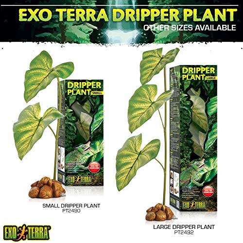 Exo Terra Dripper Plant, Small