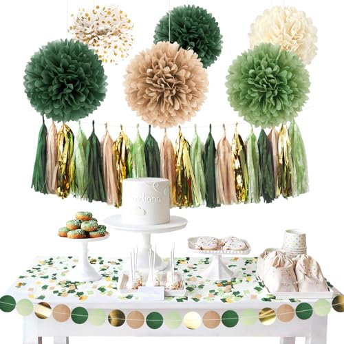 AOBKIAT Sage Green Wedding Party Decorations,28 PCS Tissue Paper Pom Poms,Circle Dots Garland Paper Tassels Hanging Backdrop for Girl Women Birthday,Bridal Baby Shower,Boho Wedding Party Supplies