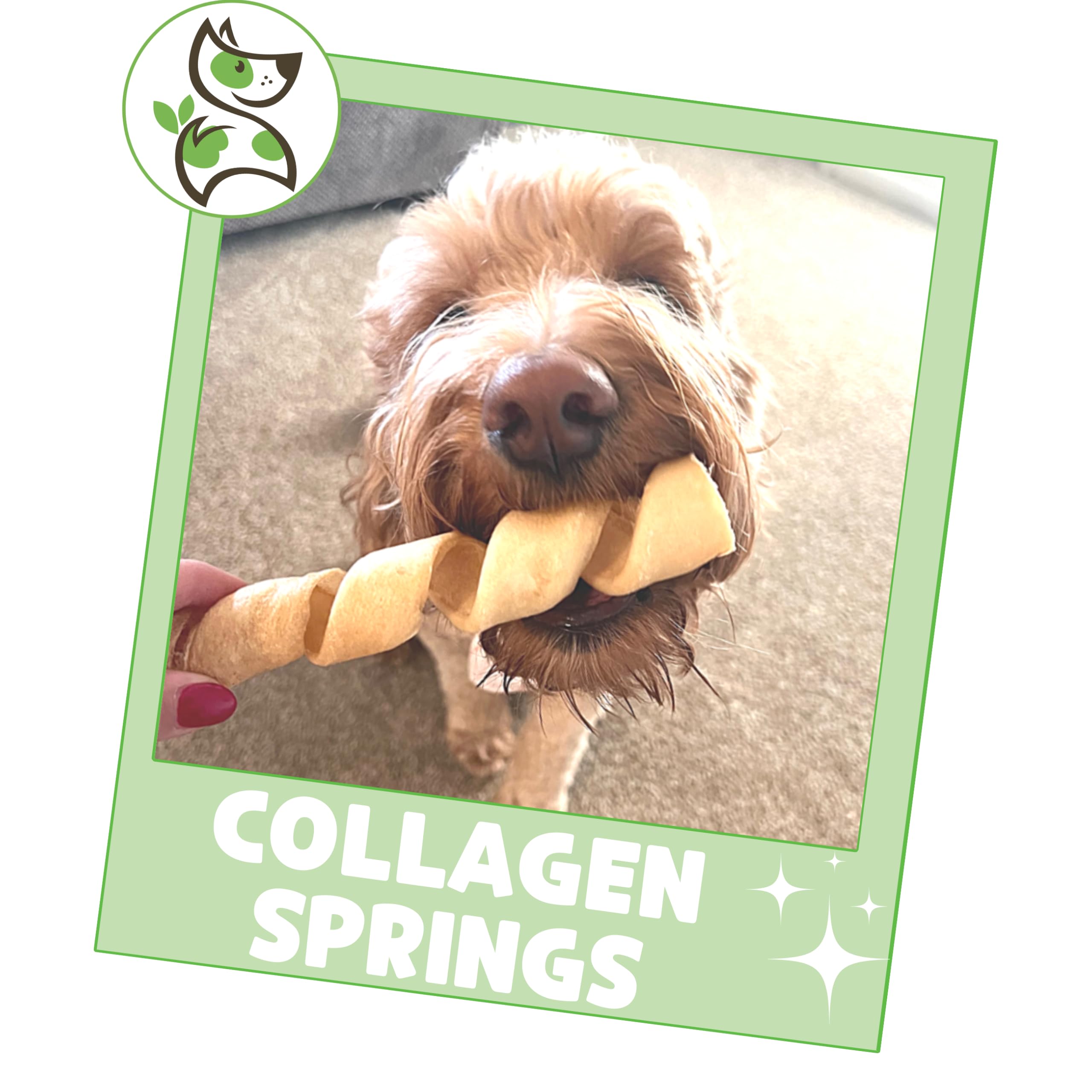 Nature Gnaws Collagen Springs for Dogs (10 Count) - Long Lasting for Small and Medium Dogs - Natural Beef Hide Dog Chew Bones