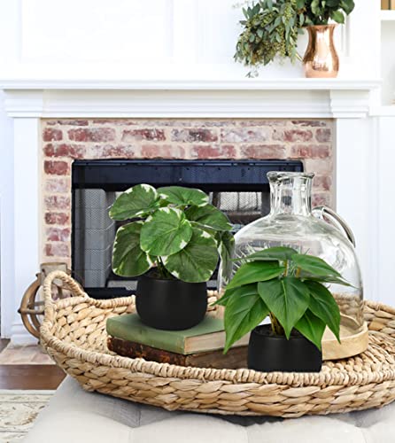 Briful 3PCS Fake Plants Potted Artificial Plants Mini Faux Plants in Black Ceramic Pots Greenery Décor for Home Office Table Room Farmhouse Indoor Decoration