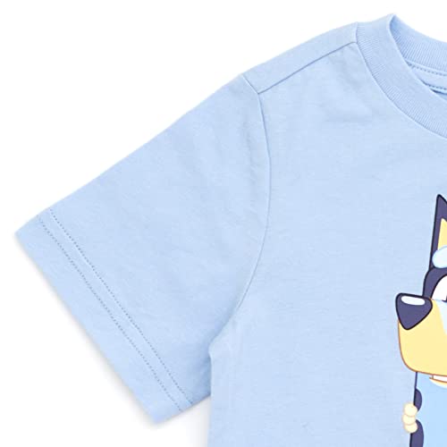 Bluey Bingo Toddler Boys T-Shirt and Shorts Outfit Set 3T
