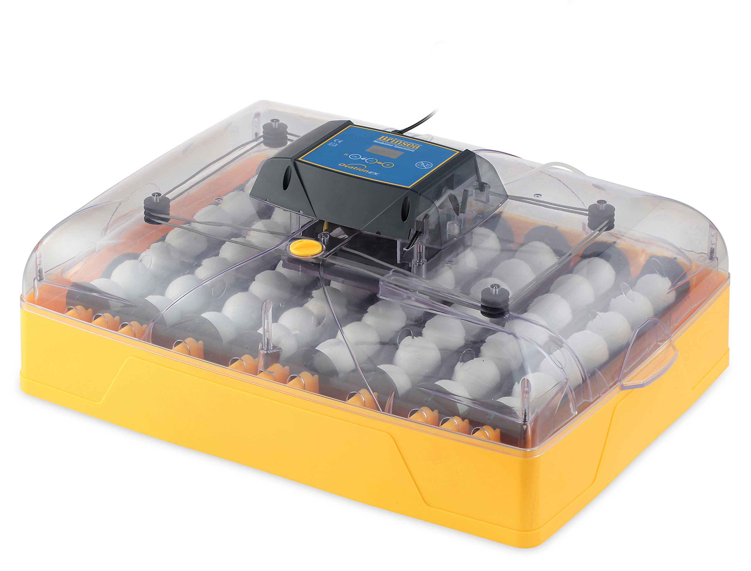 Brinsea Ovation 56 EX Egg Incubator With Automatic Egg Turning and Humidity Control for Hatching 56 Chicken, Duck, Other Bird Eggs, Precision Digital Controls, Temperature Alarms
