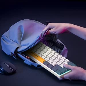 60% Mechanical Gaming Keyboard and Mouse,Wired Compact PC keyboard with Red Switch,RGB LED Backlit,OEM Dye Sublimation PBT Keycaps,12000DPI Lightweight Gaming Mouse,Mouse Pad for Computer/Laptop