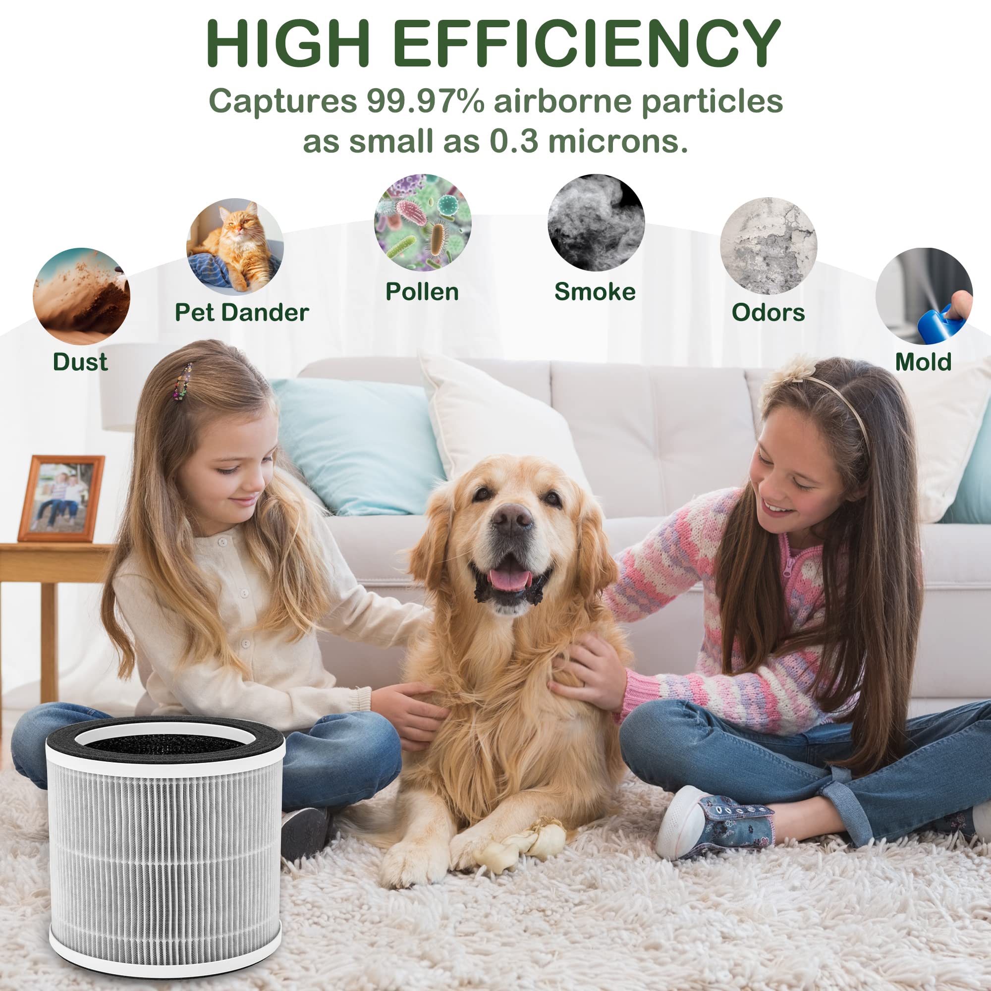 Air Purifier Replacement Filter for AYAFATO P001 Air Purifier, 3-in-1 H13 True HEPA Filter, 1 pack