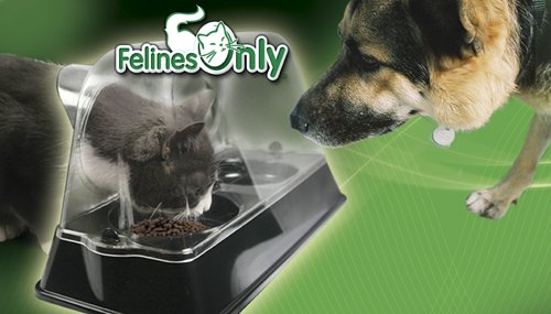 Felines Only - the Purrrfect Cat Dish - Veterinarian Designed Cat Feeding Bowl that Keeps Dogs Out of the Cat Food