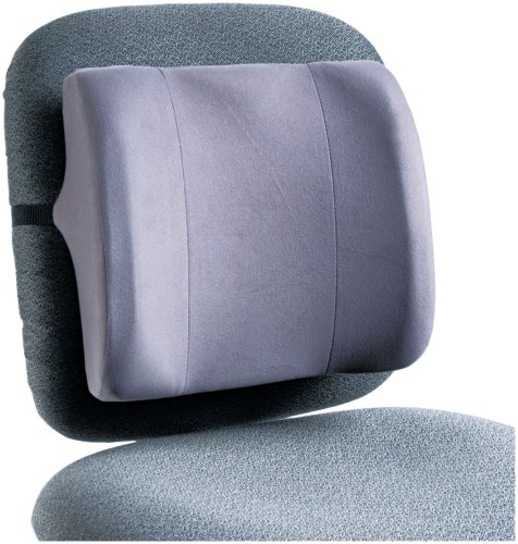 Fellowes Standard Back Rest, Graphite (91926)