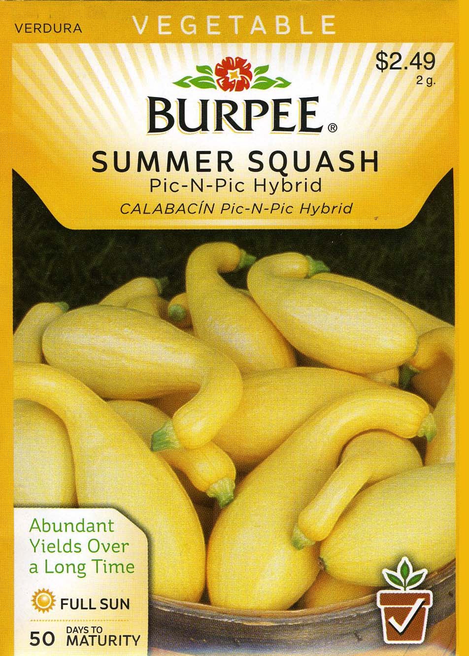 Burpee Seeds, Burpee Squash Summer Hybrid, 1 Count