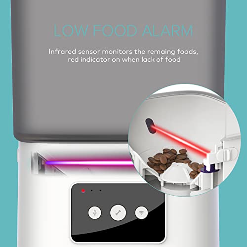 Automatic Dog and cat Feeder, WELLPET WiFi-Enabled Smart cat Food Dispenser, Automatic Dog Food Dispenser with APP Remote Control Part, cat Feeder with Low Food Alarm, Dual Power Supply
