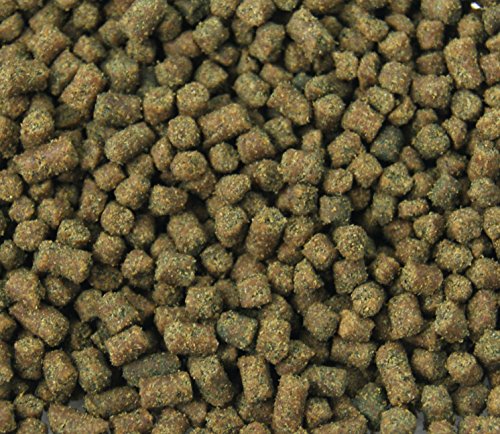 Josh's Frogs Dart Frog Tadpole Food (2 oz)
