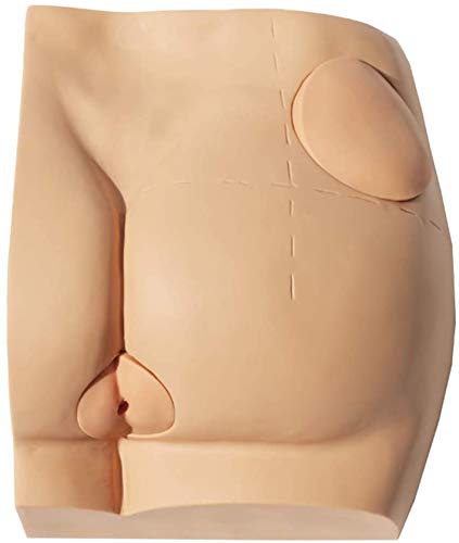 SHRFC Medical Hip Injection Training Simulator,Injection Training Vivid Hip Intramuscular Anatomical Model for Nurse, Medical Students