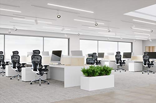 Eurotech Seating Ergohuman High Back Mesh Managers Chair, Black