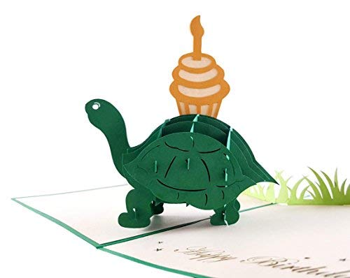 iGifts And Cards Unique Turtle With Cupcake Birthday 3D Pop Up Greeting Card - Funny Animal, Tortoise, Cake, Candle, Cool, Fun, Half-Fold, Belated Birthday, Happy Birthday, Celebration, Cumpleanos