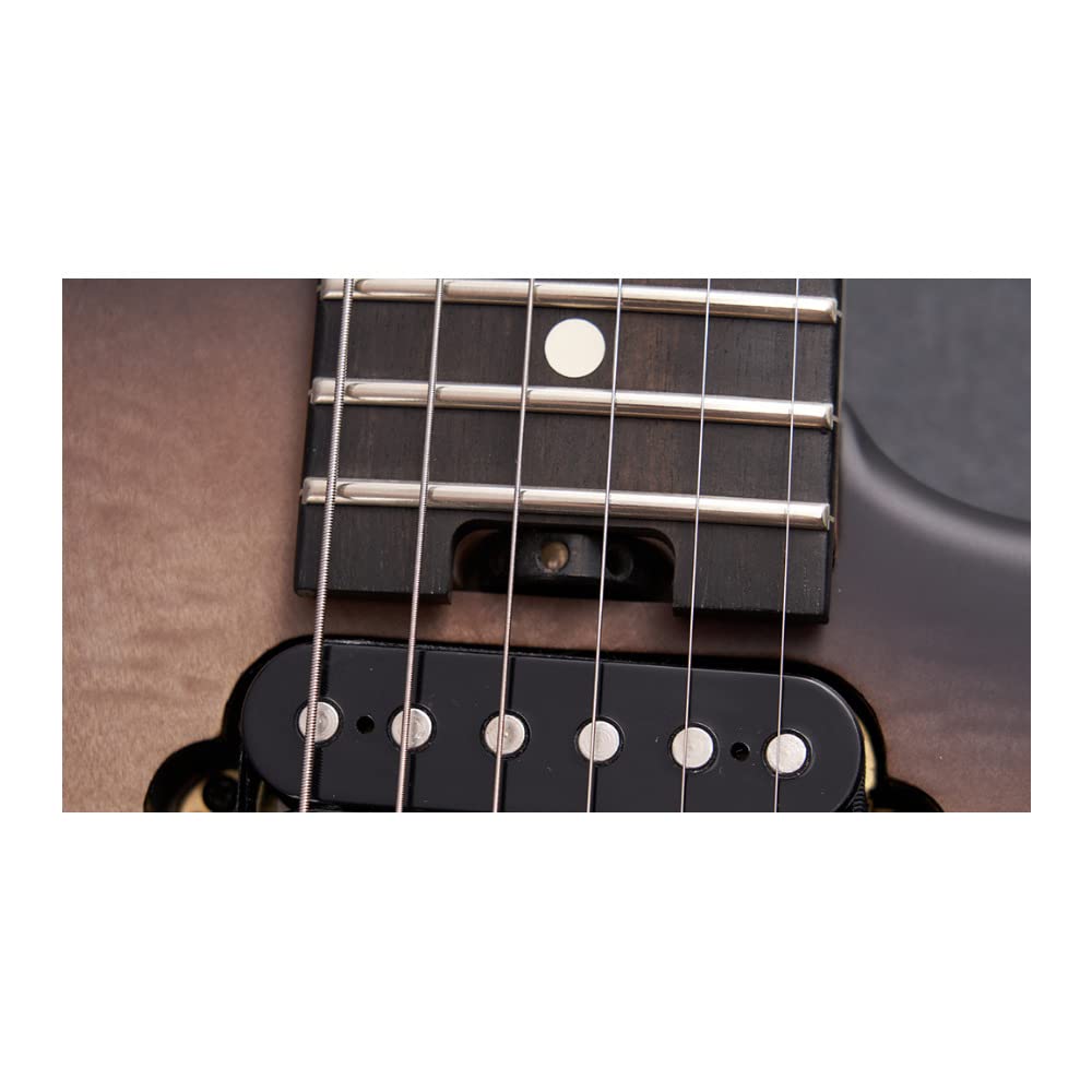 EVH 5150 Series Deluxe Poplar Burl Electric Guitar - Black Burst