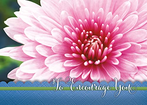 Secret Sister - All Occasion - It's A Secret - KJV and NIV Scripture Greeting Cards - (Box of 12)