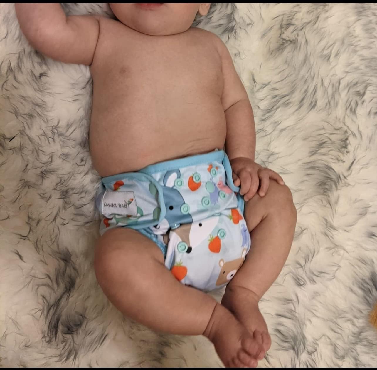 Kawaii Baby 6 Happy Leak-Free Cloth Diaper Covers, Double Waterproof Layer adjustable to fit babies 8-36 pounds (Happy Girl)