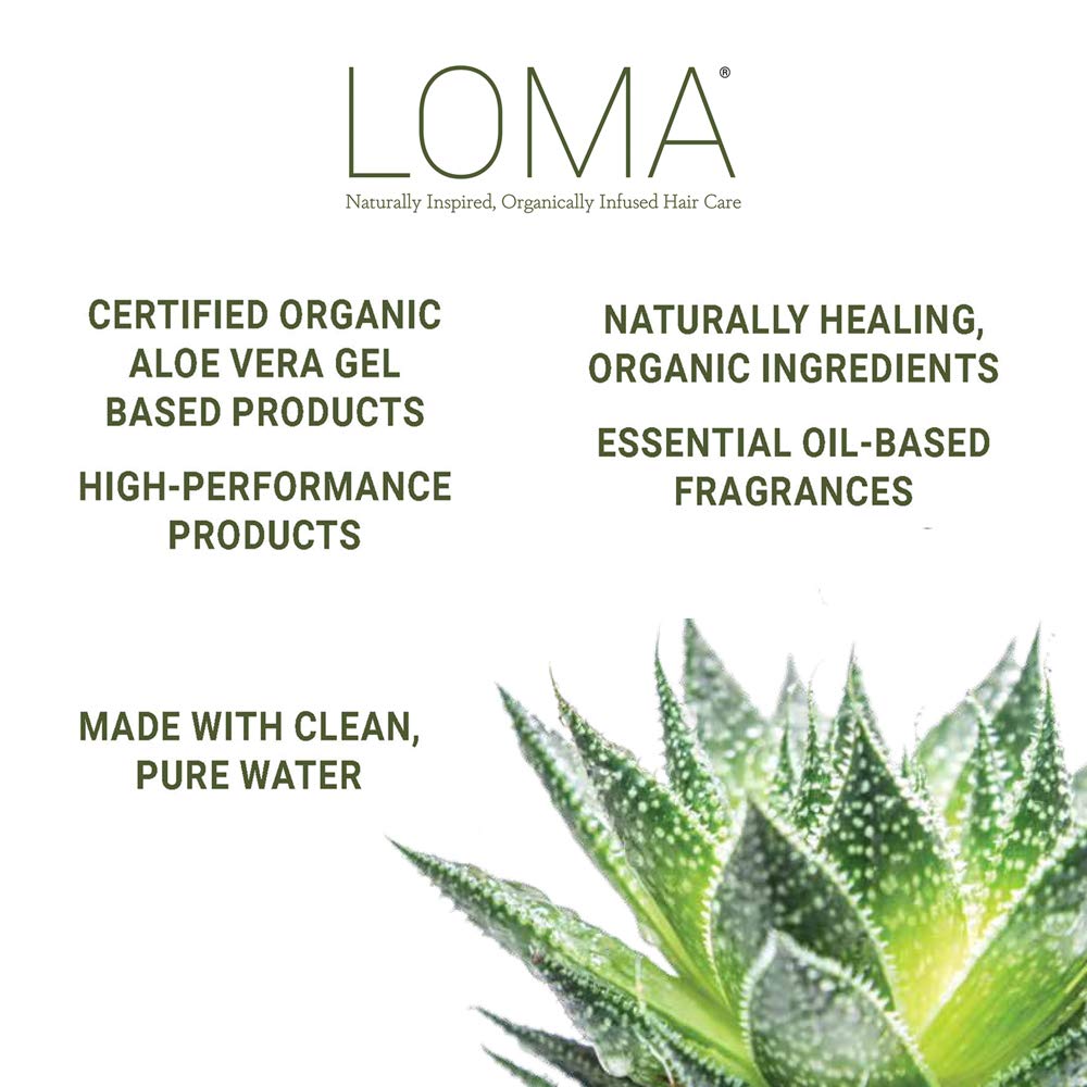 Loma Violet Shampoo 33 ounce (Sulfate, Paraben and Gluten FREE)