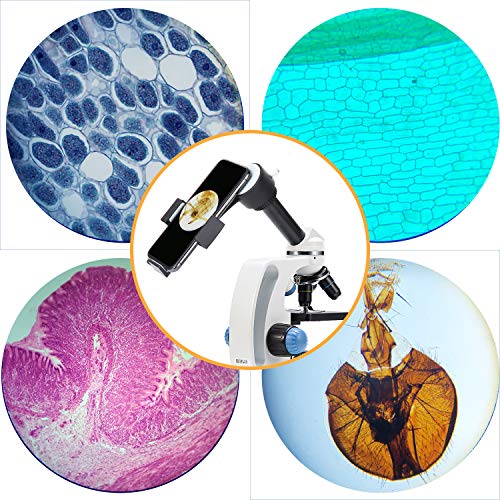 Swift Microscope Lens Adapter,Smartphone Camera Adapter Mount, Microscope Accessory (Fits 28mm Eyepieces)