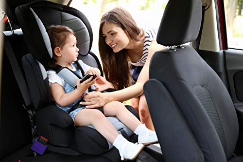 Buckle Booster for Seat Belts - Uprights Your Receptacle for Easy Reach - No More Floppy Buckle (2)