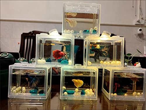 AWXZOM 2pack Small Betta Fish Tank,Small Fish Tank Plastic Fish Bowl Small Goldfish Bowl Small Aquarium beta Fish Tank with Cover (2pack-Small-Clear)