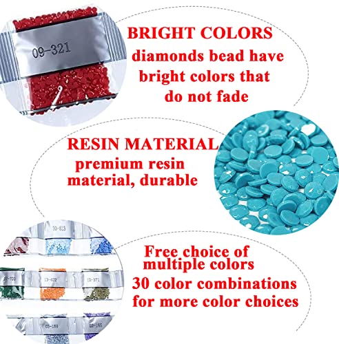 Diamond Painting Accessories Kits-5d Diamond Art Dot Bead Replacement Missing Drill Stones for Adults,DIY Embroidery Wax Tacky Tool-30 Colors,1500 Round Gems,3 Painting Glue Clay,2 Stitch Pen,2 Tray