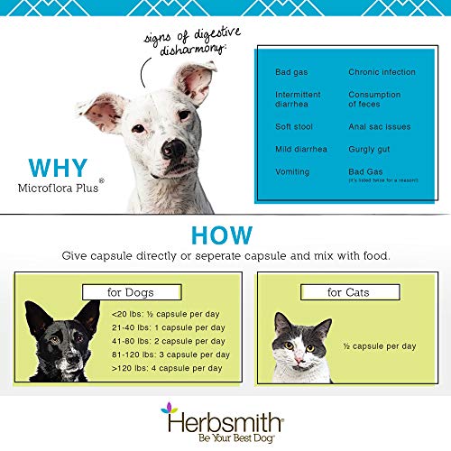 Herbsmith Microflora Plus – Dog Digestion Aid –Probiotics and Digestive Enzymes for Dogs – Prebiotic for Dogs – 120 Capsules